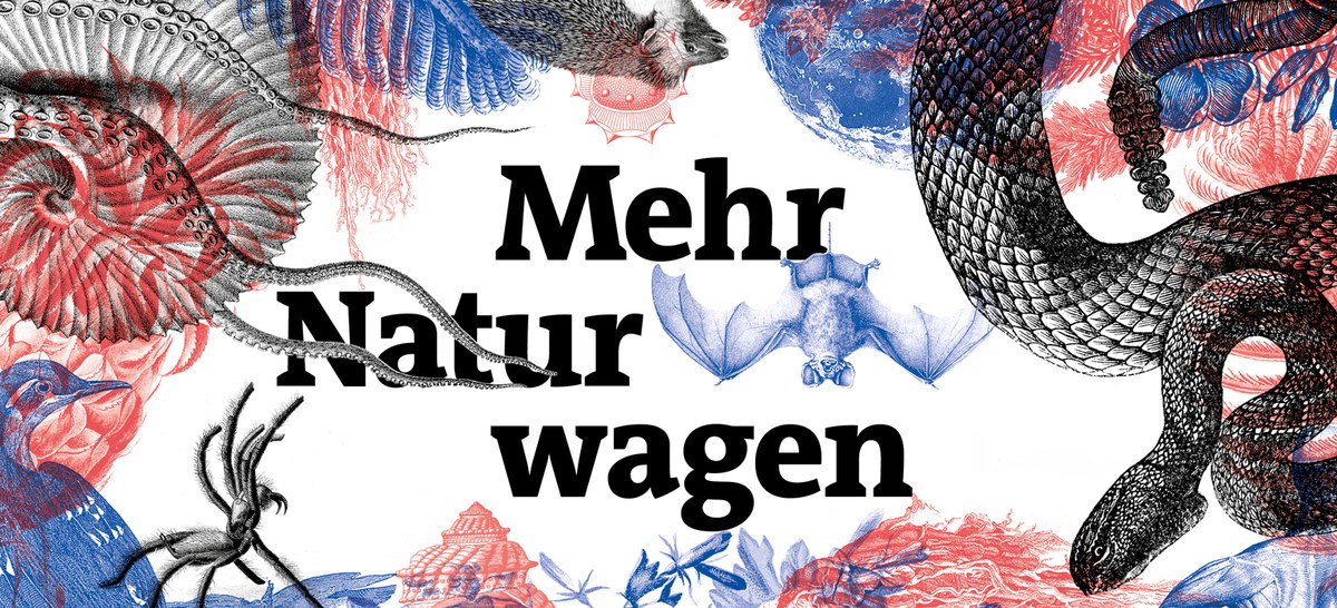 Ausgabe 52/2020 — der Freitag